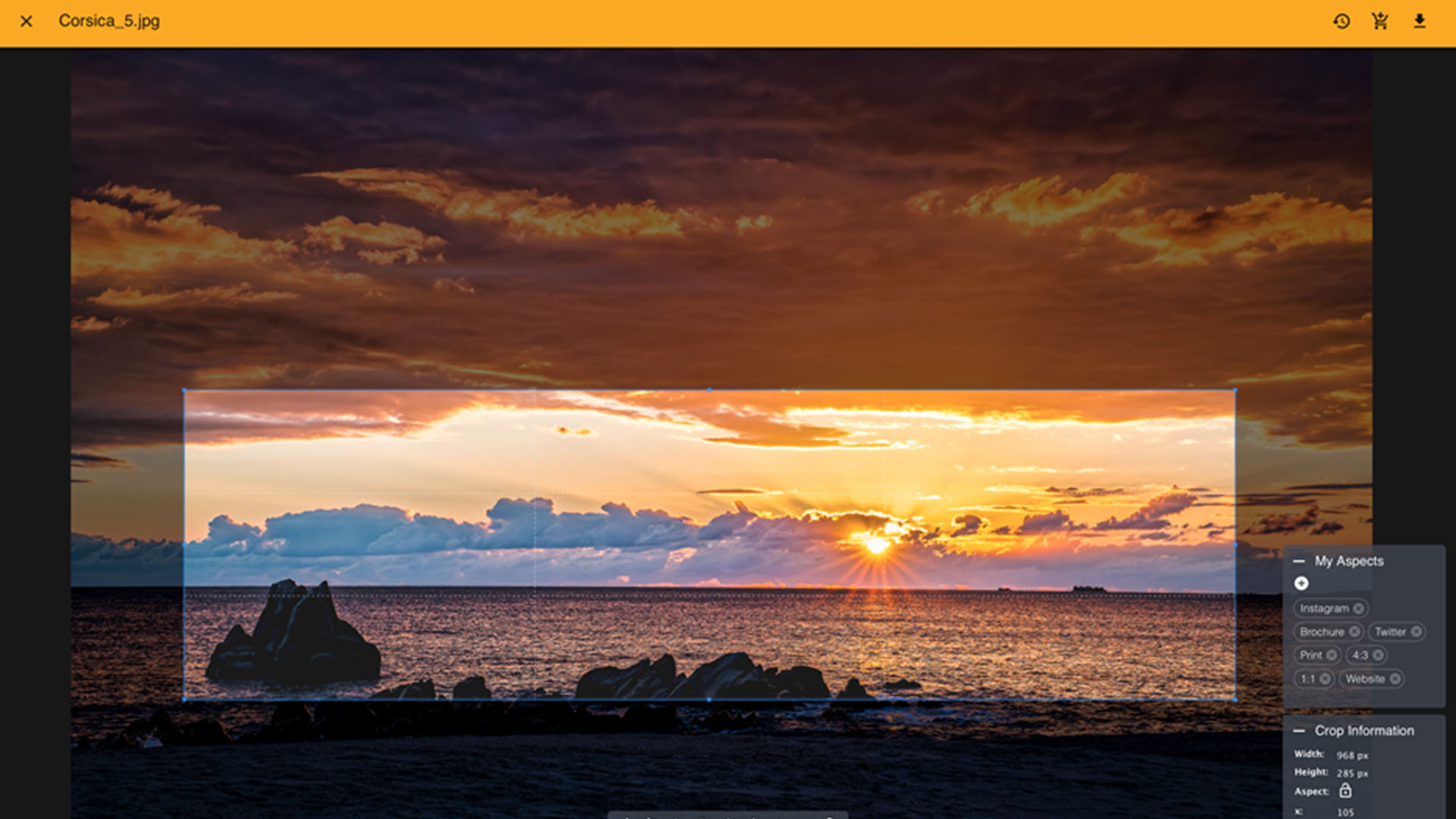 How to Use the Online Cropping Tool for DALIM ES